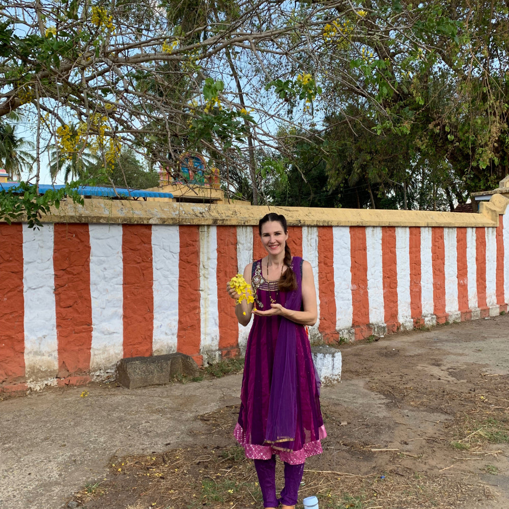 Memories of the Golden Shower Tree (Cassia Fistula) also called Aragwa ...