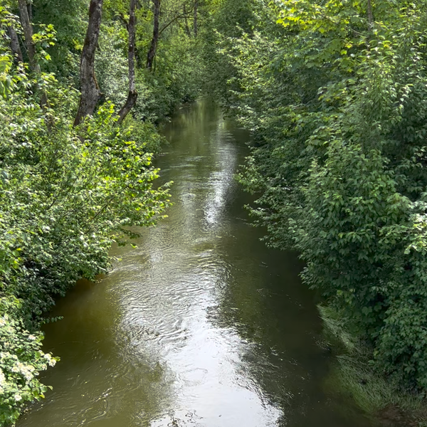 Winter Solstice Tips - Lakshmi Ayurveda