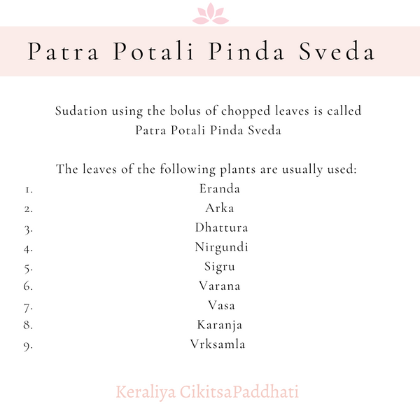 LEARN THE ART OF PINDA SVEDA - Lakshmi Ayurveda